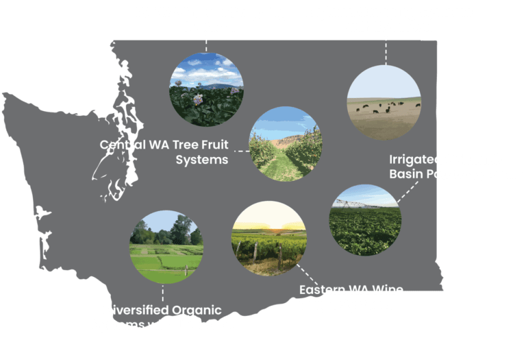Six sites, six unique soils, and sixteen crops | Washington Soil Health ...