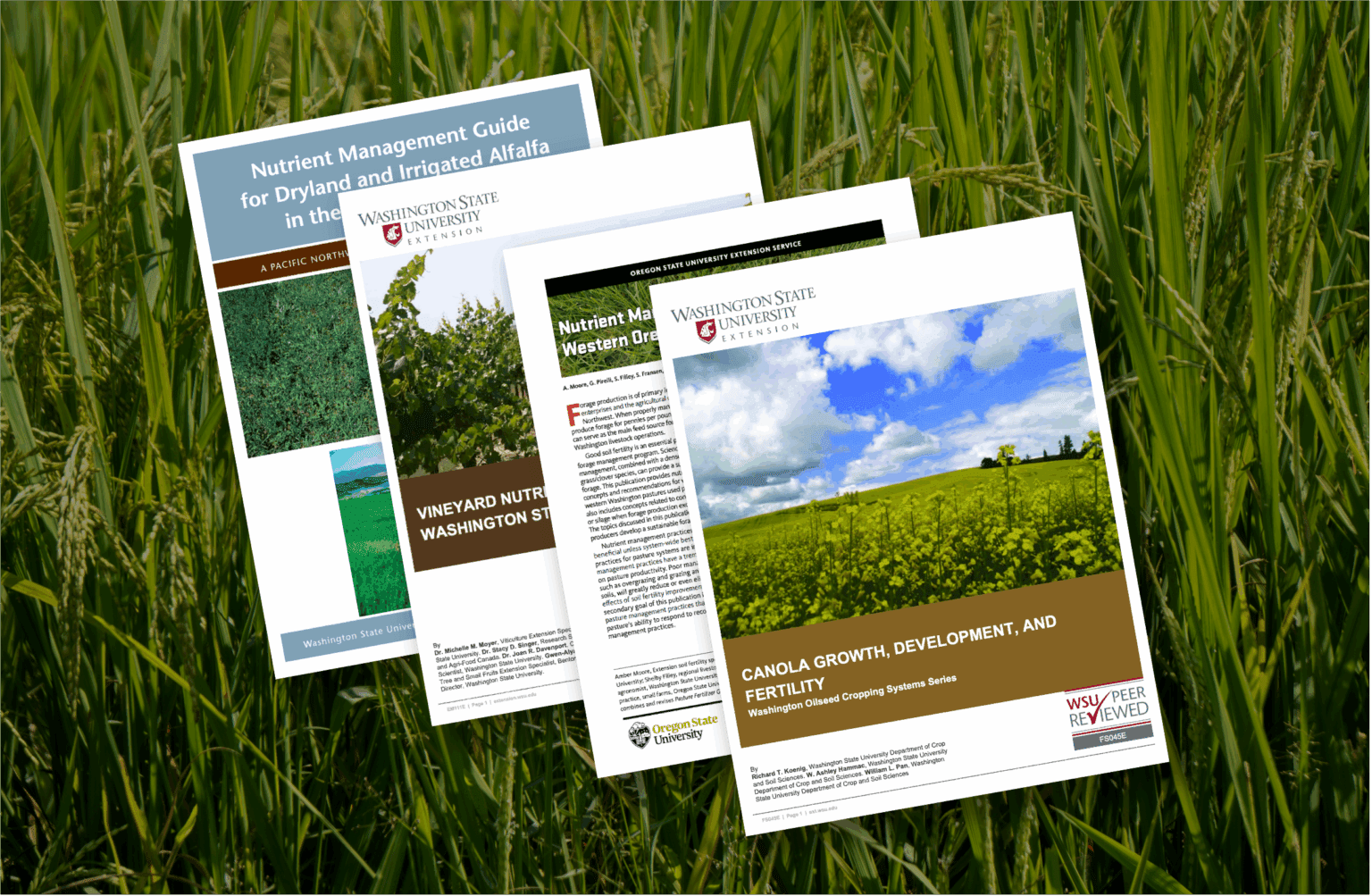 WSDA's New Nutrient Management Library: A New Tool for Navigating ...